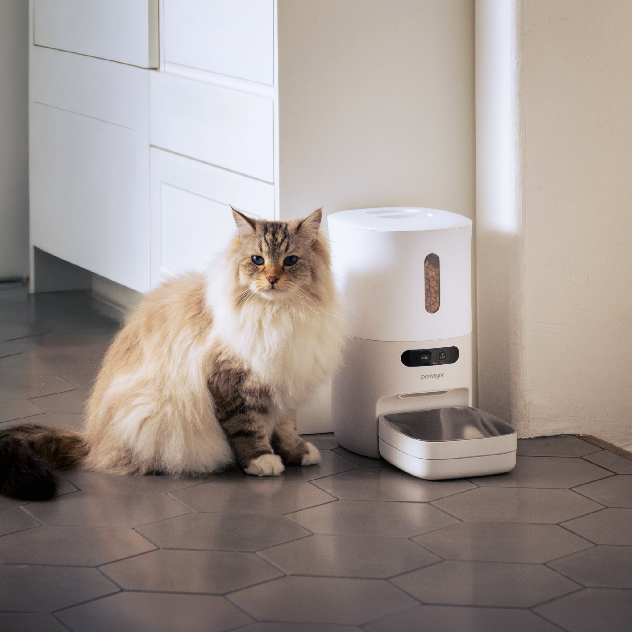 The Best Smart Feeders on the Market Today